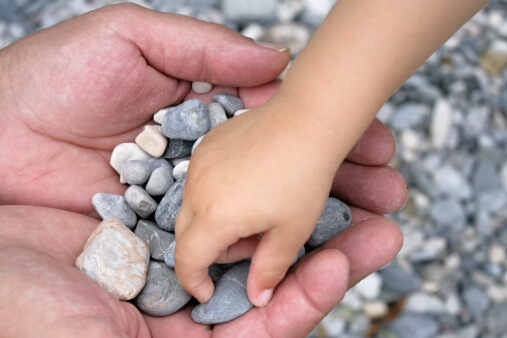 Bird Flu, SARS, and Public Health | DrGreene