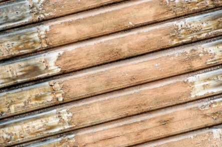 Lead Levels in Paint | DrGreene