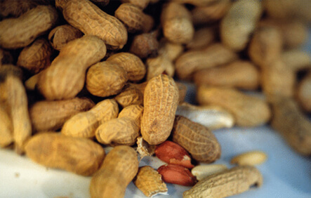 Peanut Allergy: A-to-Z Guide from Diagnosis to Treatment to Prevention ...